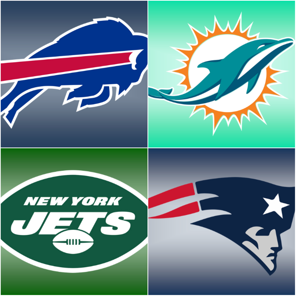 Biggest Concerns for the AFC East - The Touchdown