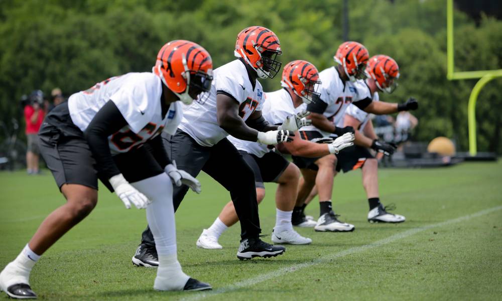 CINCINNATI BENGALS @ LOS ANGELES RAMS - WEEK 8 - The Touchdown