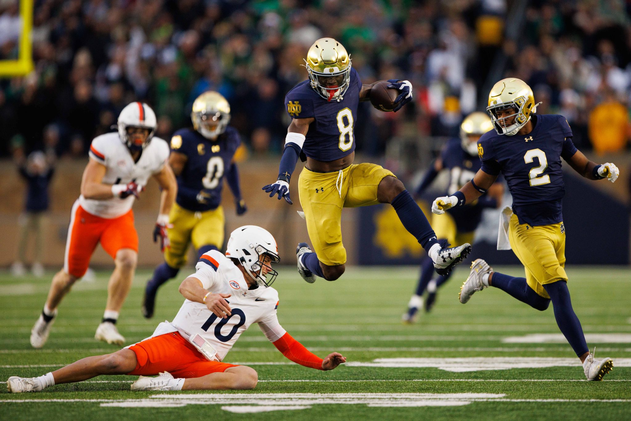 CFB: Notre Dame Fighting Irish Week 13 Preview - The Touchdown