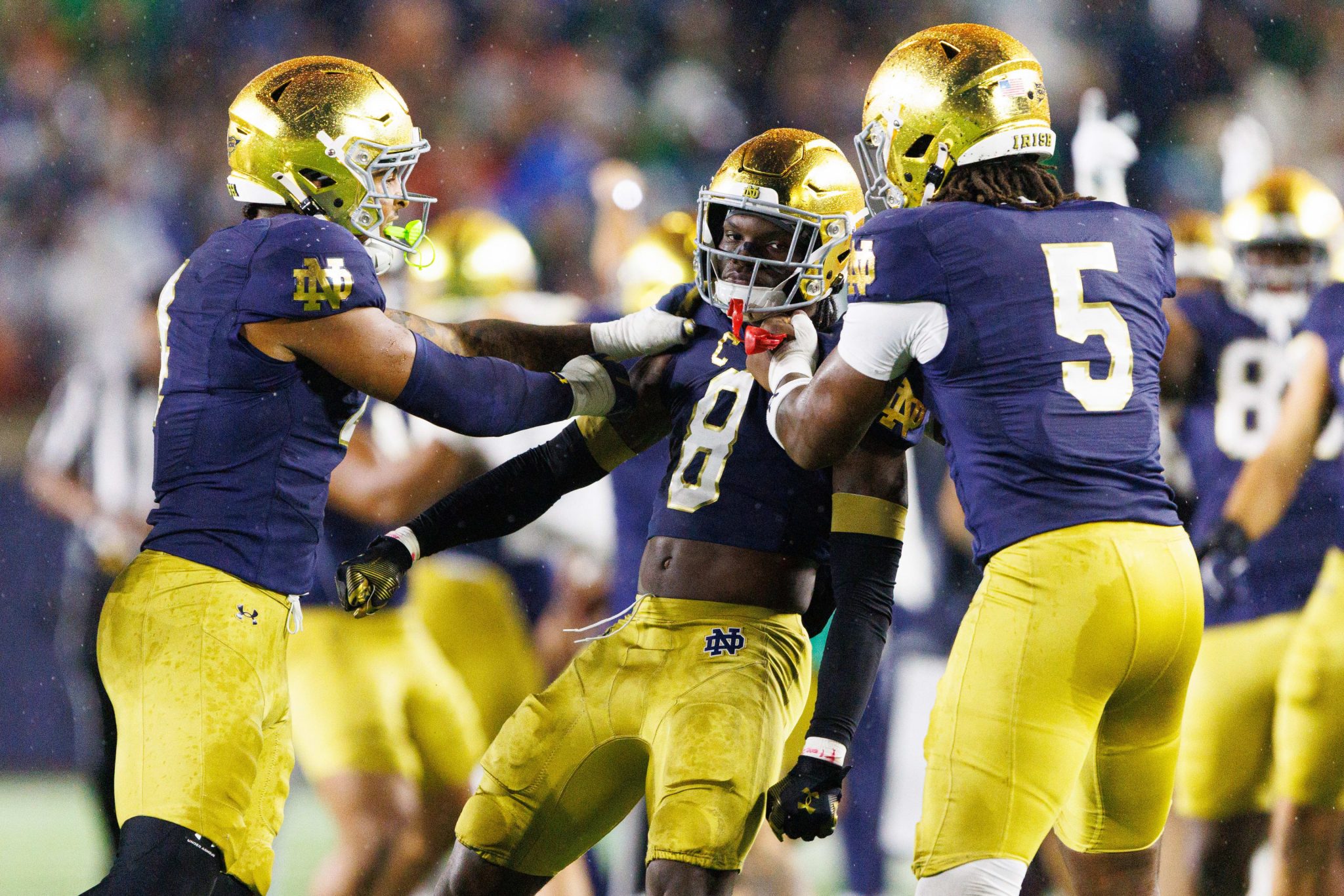 CFB: Notre Dame Fighting Irish Week 9 Preview - The Touchdown